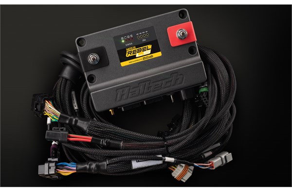 Get Your LS Engine Swap Up and Running with a Haltech Nexus Rebel LS ECU