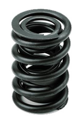 Airflow Research (AFR) 8016-16 AFR Replacement Valve Springs | Summit ...