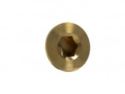 Brian Tooley Racing BTR61663 BTR Engine Coolant Plugs | Summit Racing