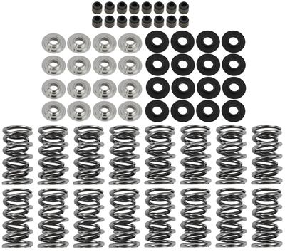 Brian Tooley Racing SK001/T/0560/BB BTR Platinum Valve Spring Kits ...