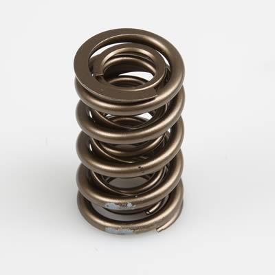 Isky Racing Cams 9985RAD Isky Valve Springs | Summit Racing