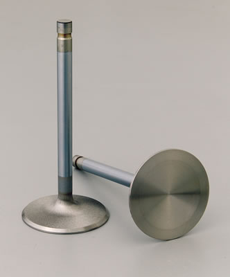 Manley 11548-1 Manley Severe Duty Series Stainless Steel Valves ...