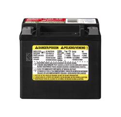 ACDelco Gold Automotive AGM Batteries - Free Shipping on Orders Over ...