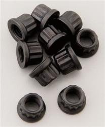 ARP 400-8303 ARP 12-Point Nuts | Summit Racing