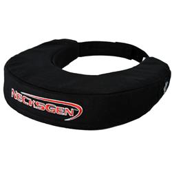 NecksGen Head and Neck Restraints at Summit Racing