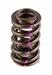 Airflow Research (AFR) 8019-16 AFR Replacement Valve Springs | Summit ...