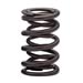Eibach 20402.216 Eibach EVS Pro Valve Springs | Summit Racing