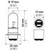 Hella A3603 Hella Standard Series Light Bulbs | Summit Racing