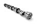 Lunati 10120703 Lunati Voodoo Camshafts | Summit Racing