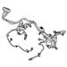 Mopar Replacement 68090824AG Mopar Replacement Wiring Harnesses ...