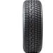 Nitto Tires N261-200 Nitto Motivo 365 Tires | Summit Racing