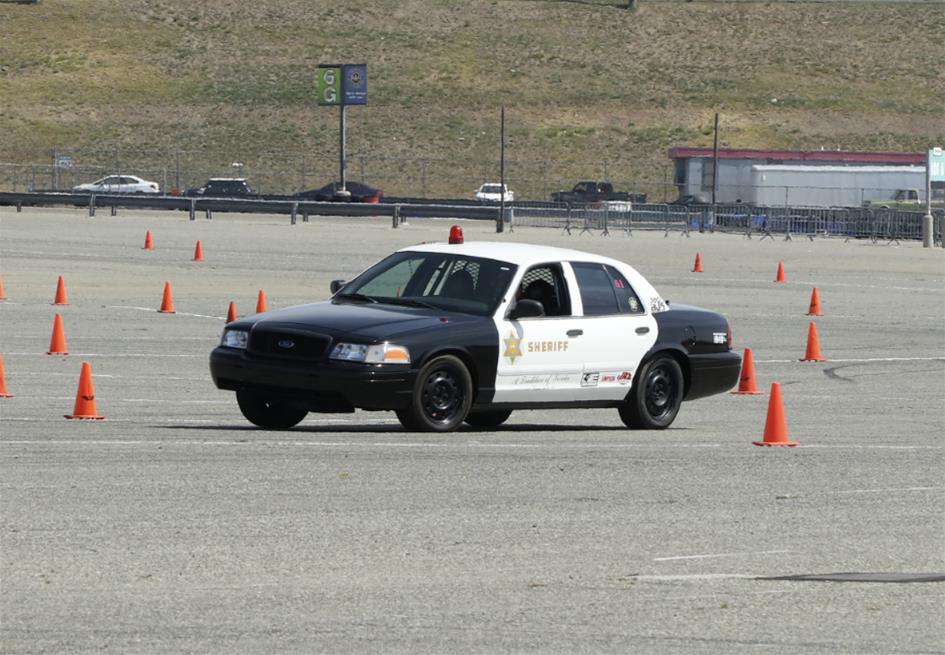 Aldan American 300362 Aldan American TrueLine Shocks | Summit Racing