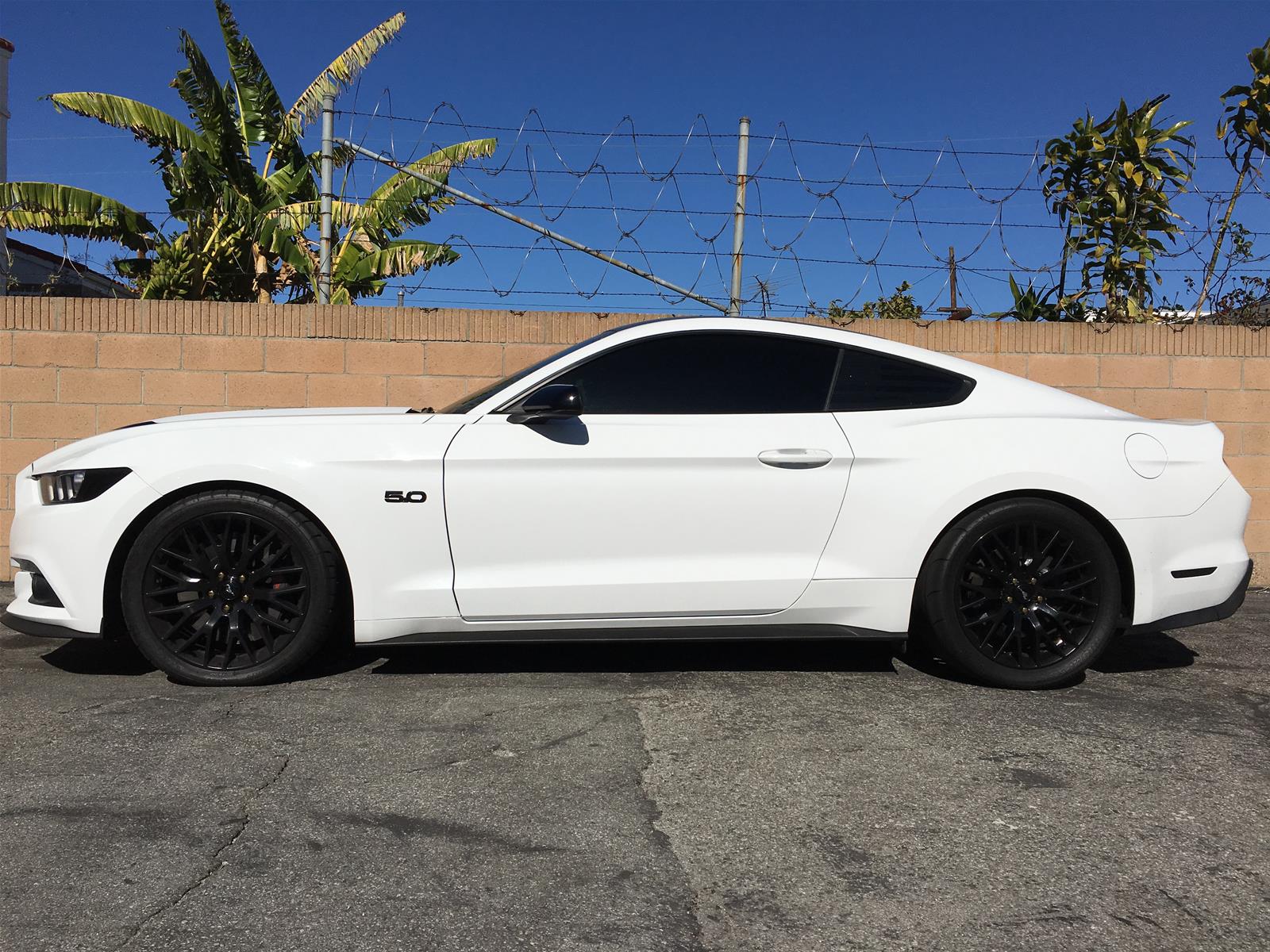 Aldan American 500100 Aldan American Lowering Springs | Summit Racing