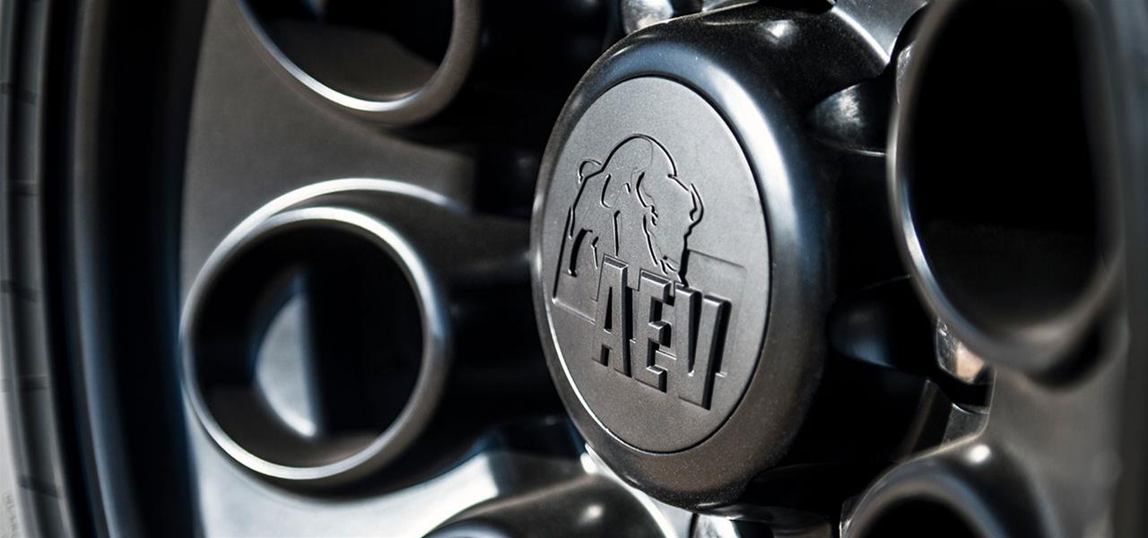 AEV 20402090AA AEV Conversions Wheel Center Caps | Summit Racing