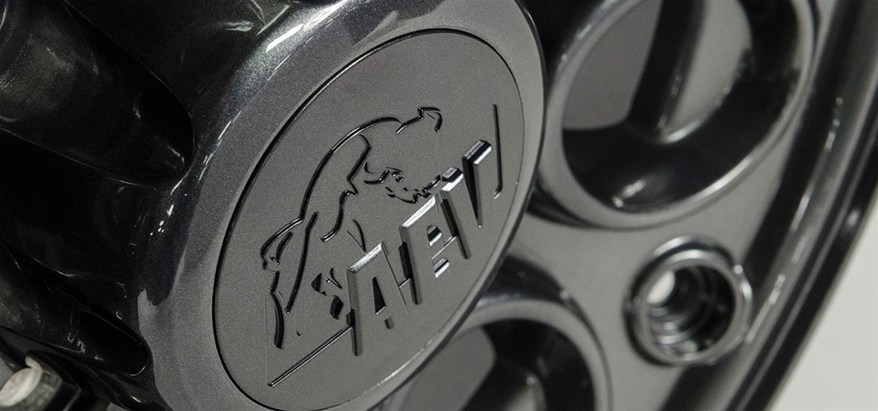 AEV 20402092AA AEV Conversions Wheel Center Caps | Summit Racing