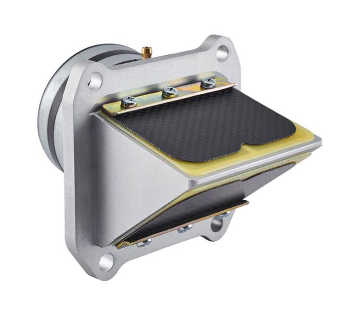 Boyesen Reeds RAD94 Boyesen Rad Valves | Summit Racing