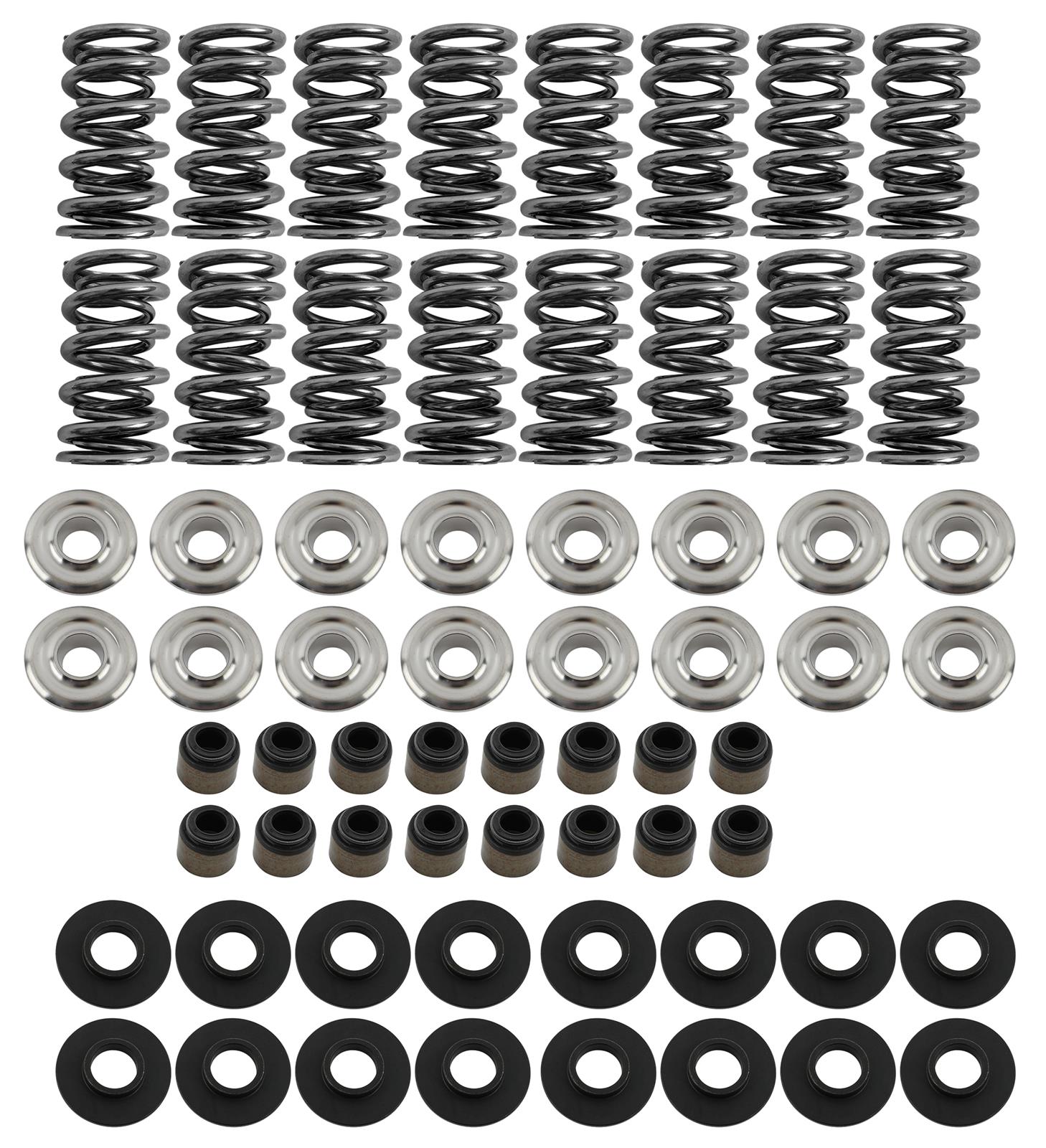 Brian Tooley Racing SK001/S/0560/BB BTR Platinum Valve Spring Kits ...