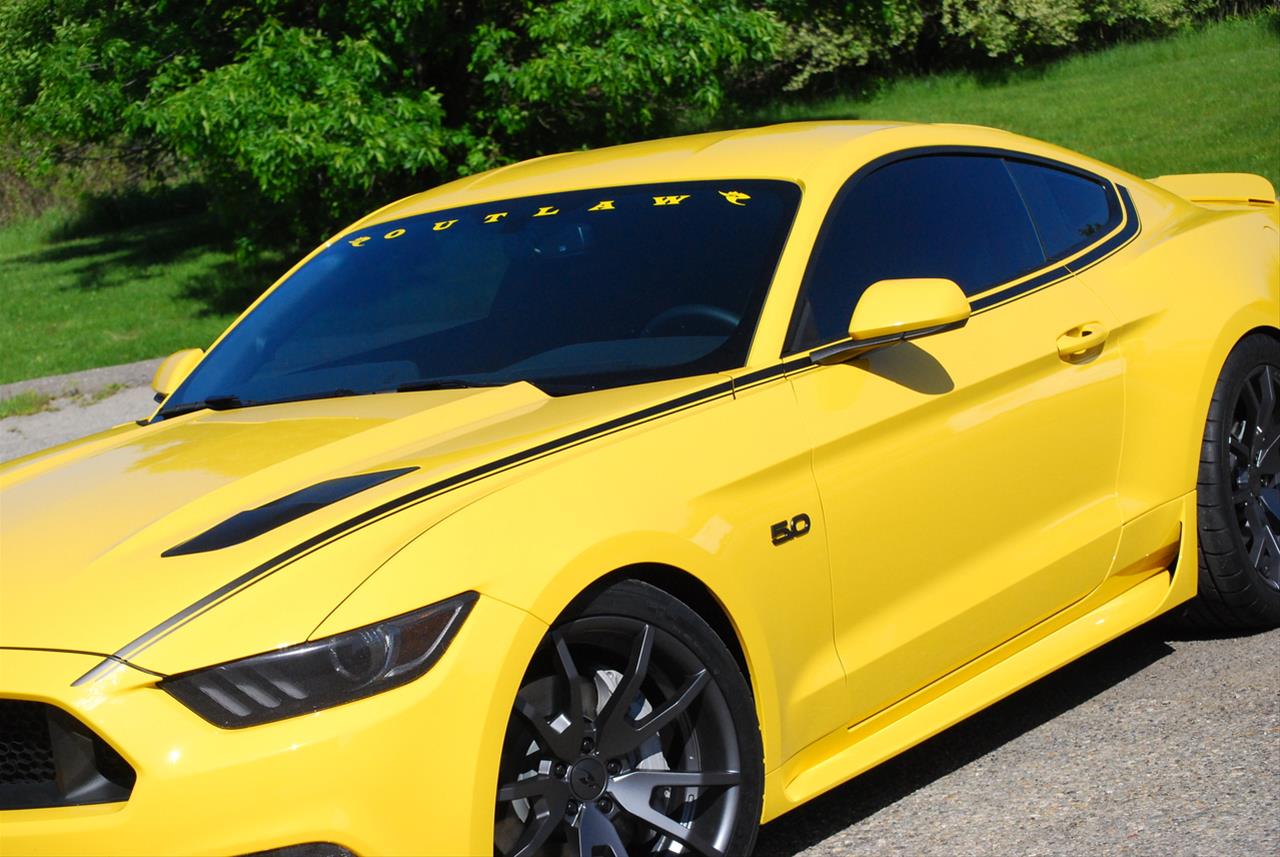 Classic Design Concepts 1511-3010-01 Classic Design Concepts Mustang ...