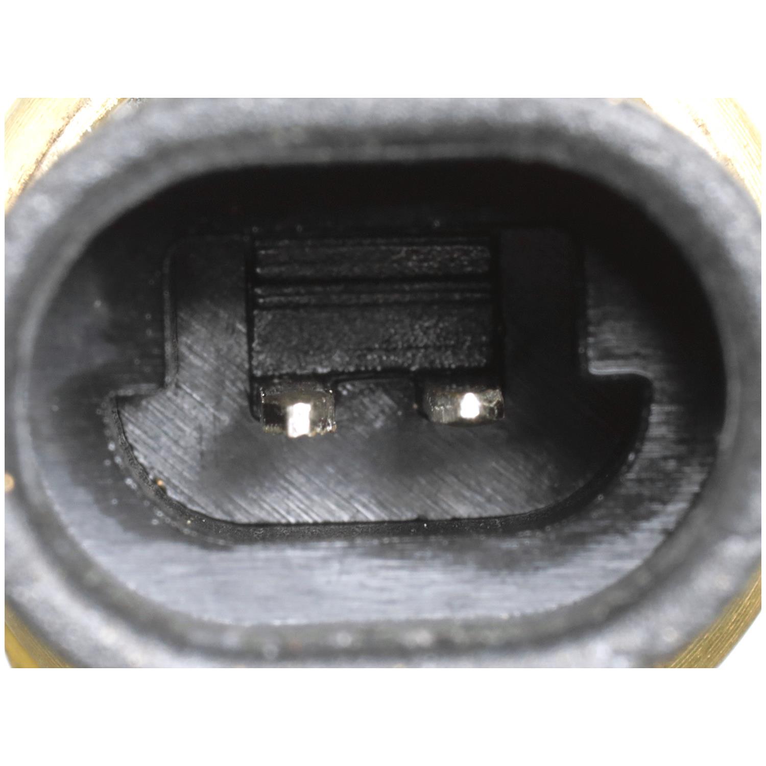 Delphi TS10076 Delphi Engine Coolant Temperature Sensors | Summit Racing