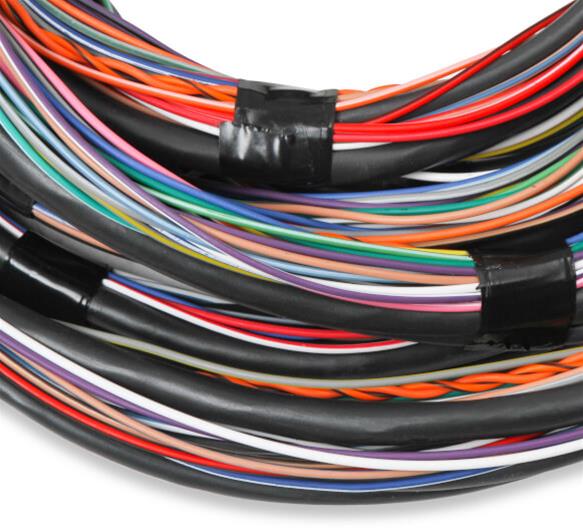 Holley 558-126 Holley EFI Unterminated Main Harnesses | Summit Racing