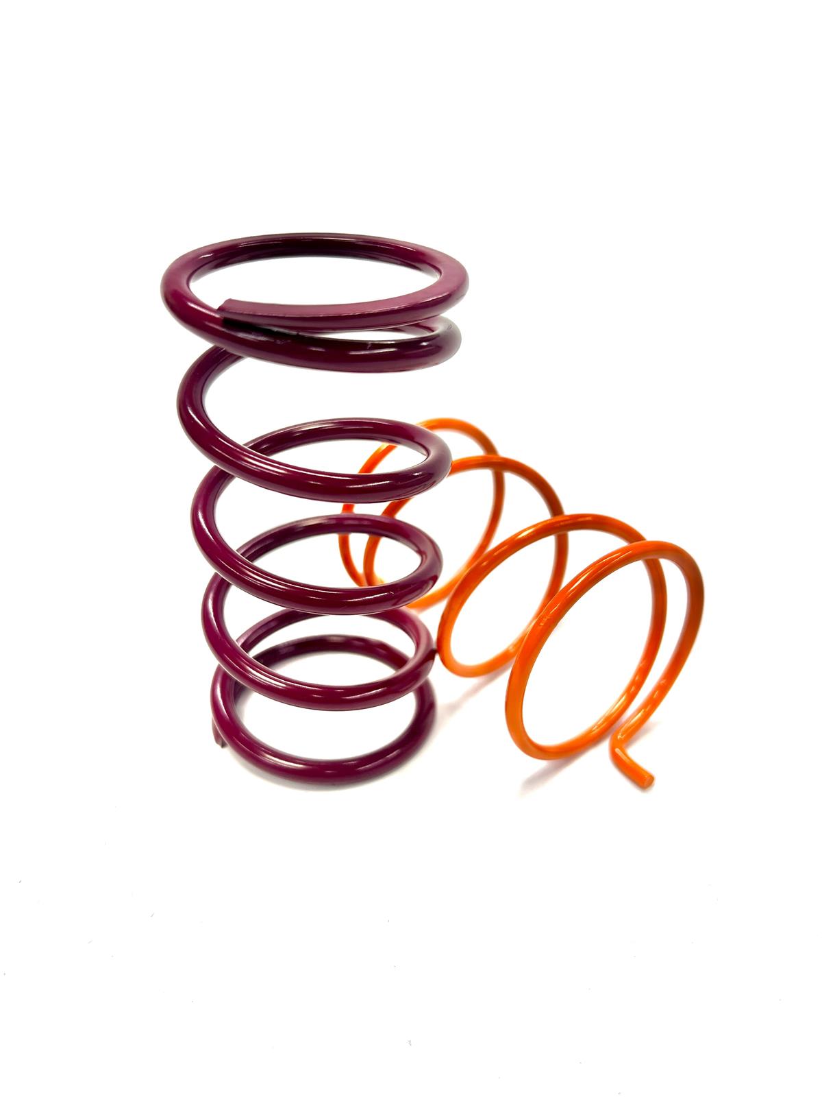 Nic Woods Racing NW-SS1HD Nic Woods Racing Shockwave Clutch Springs ...