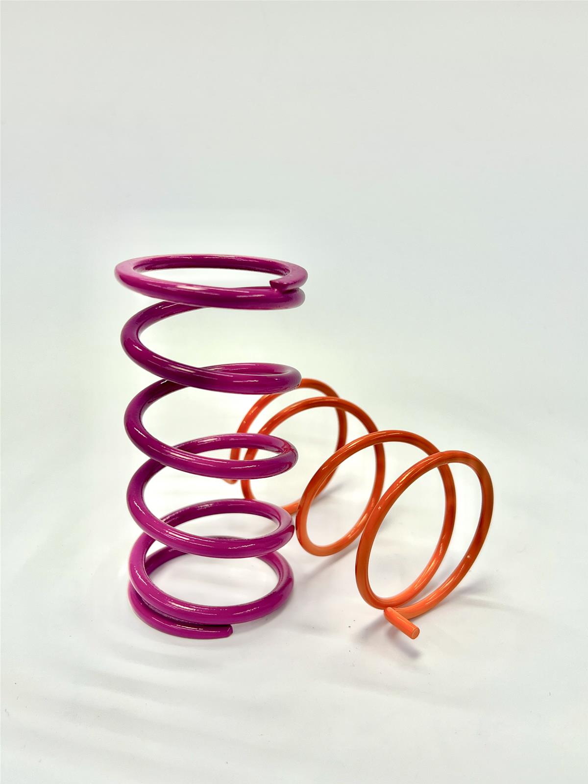 Nic Woods Racing NW-SS790 Nic Woods Racing Shockwave Clutch Springs ...