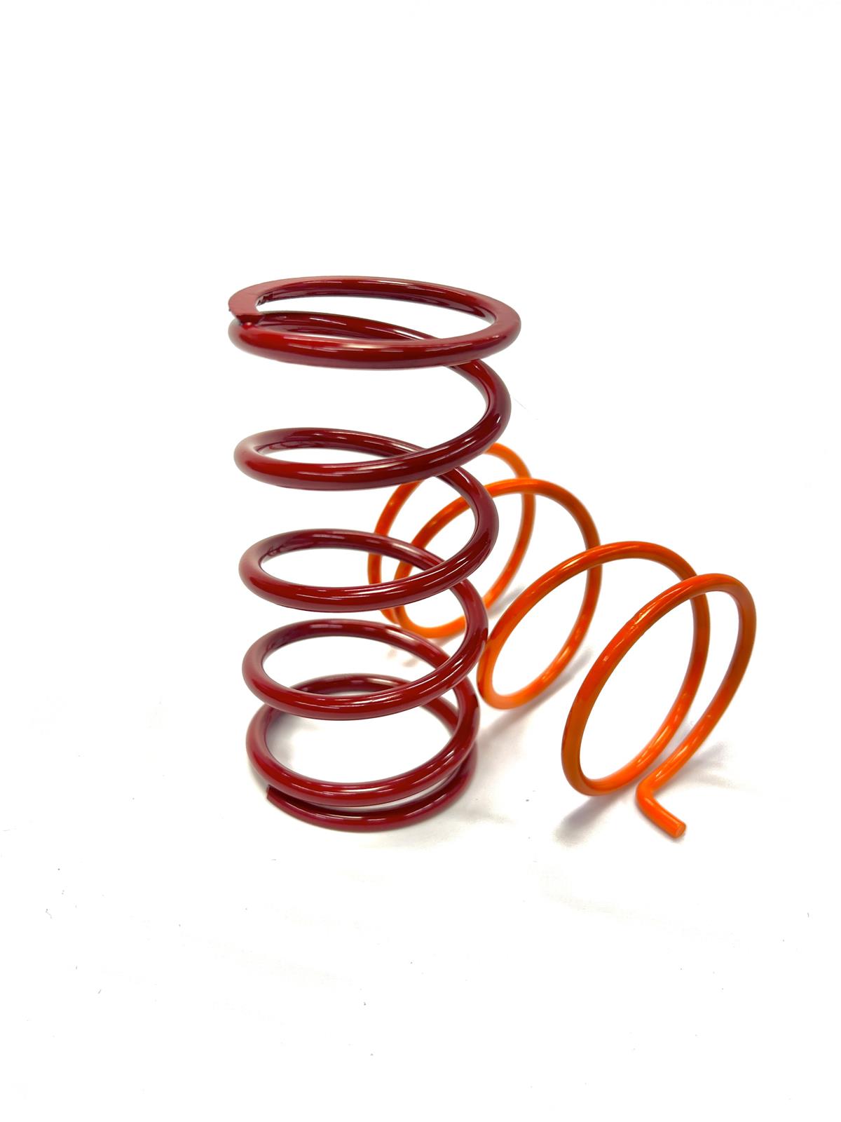 Nic Woods Racing NW-SS890 Nic Woods Racing Shockwave Clutch Springs ...