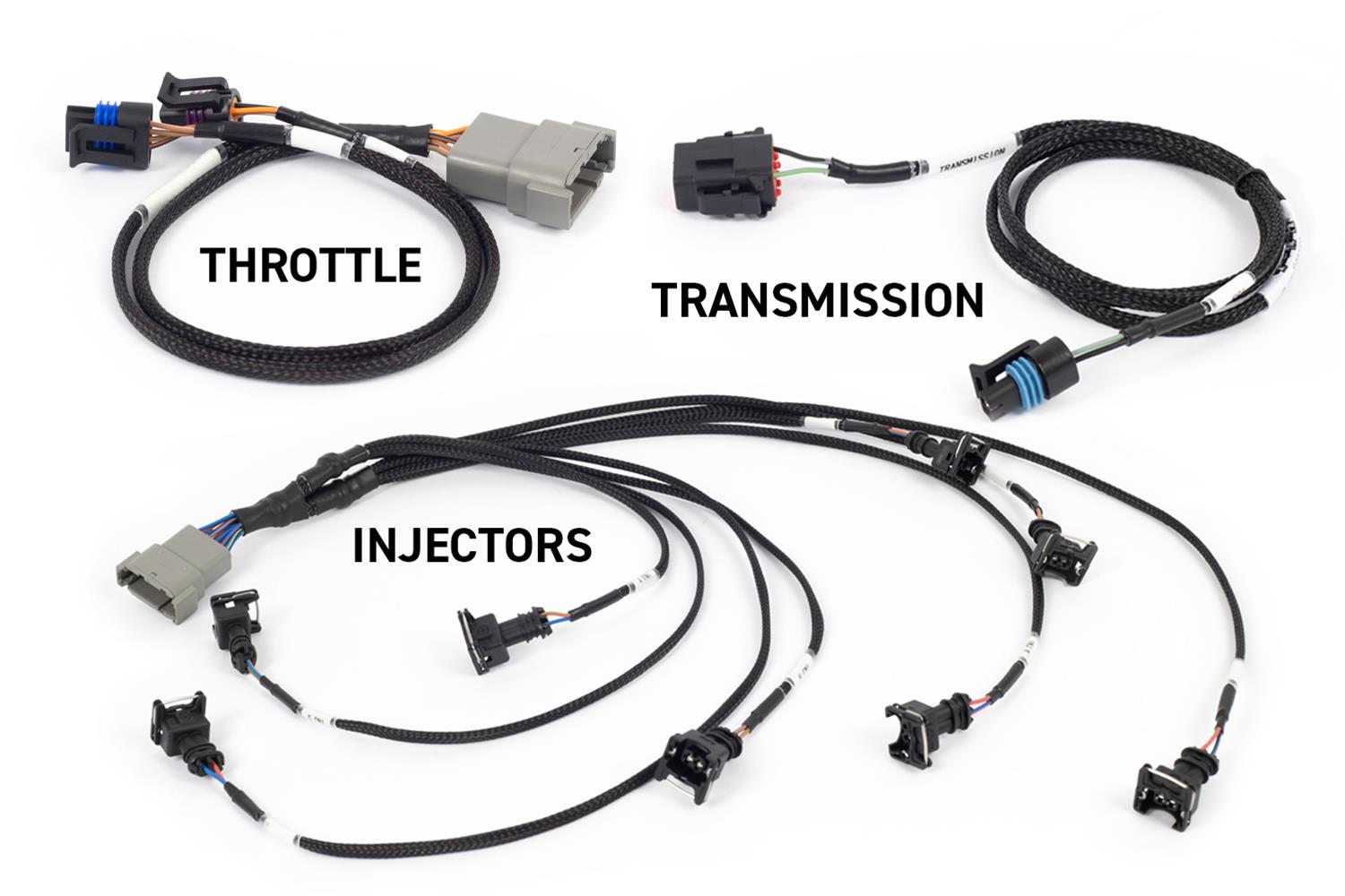 Haltech HT-220201 HalTech Rebel LS Gen 3 and 4 ECU Kits | Summit Racing