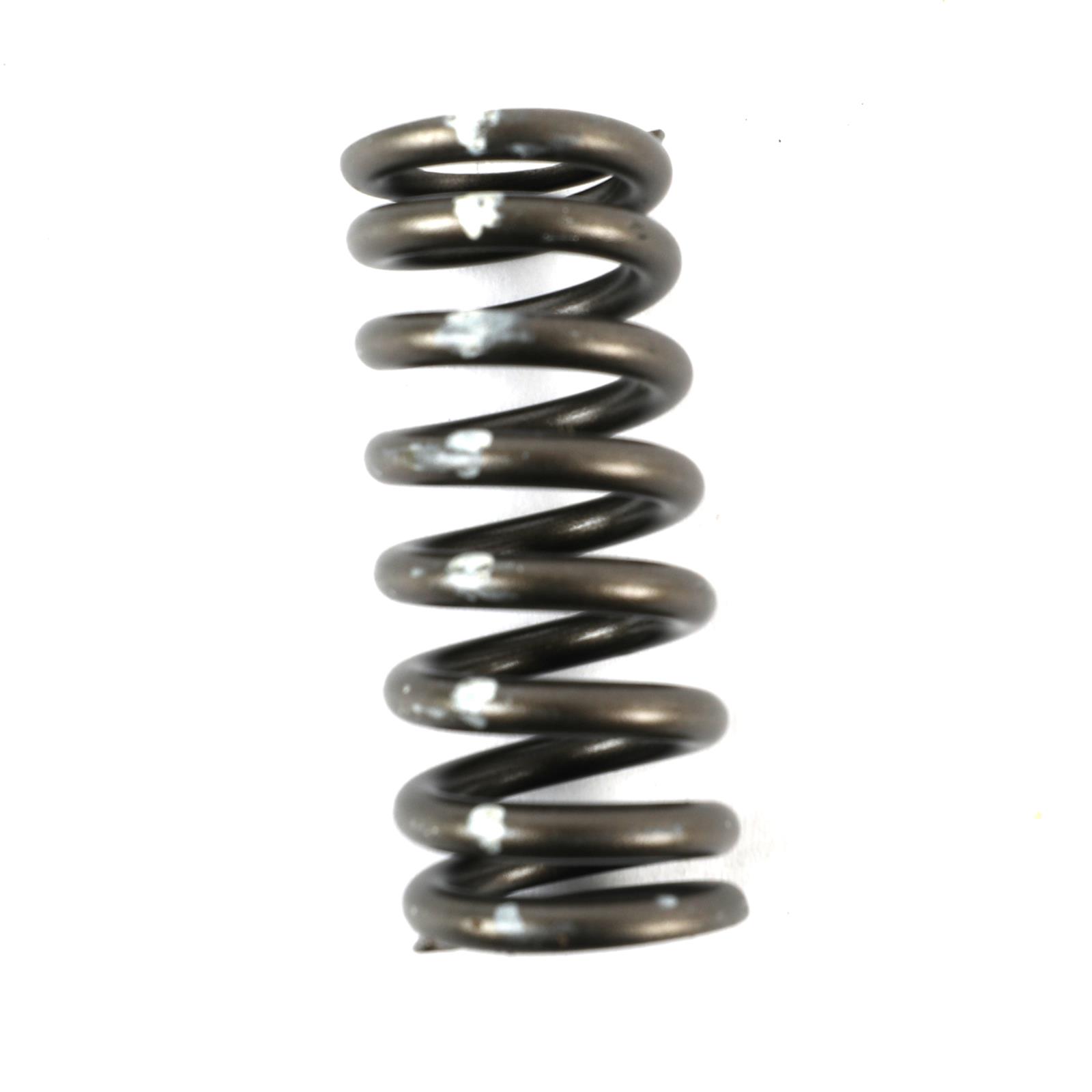 Isky Racing Cams 185G Isky Valve Springs | Summit Racing