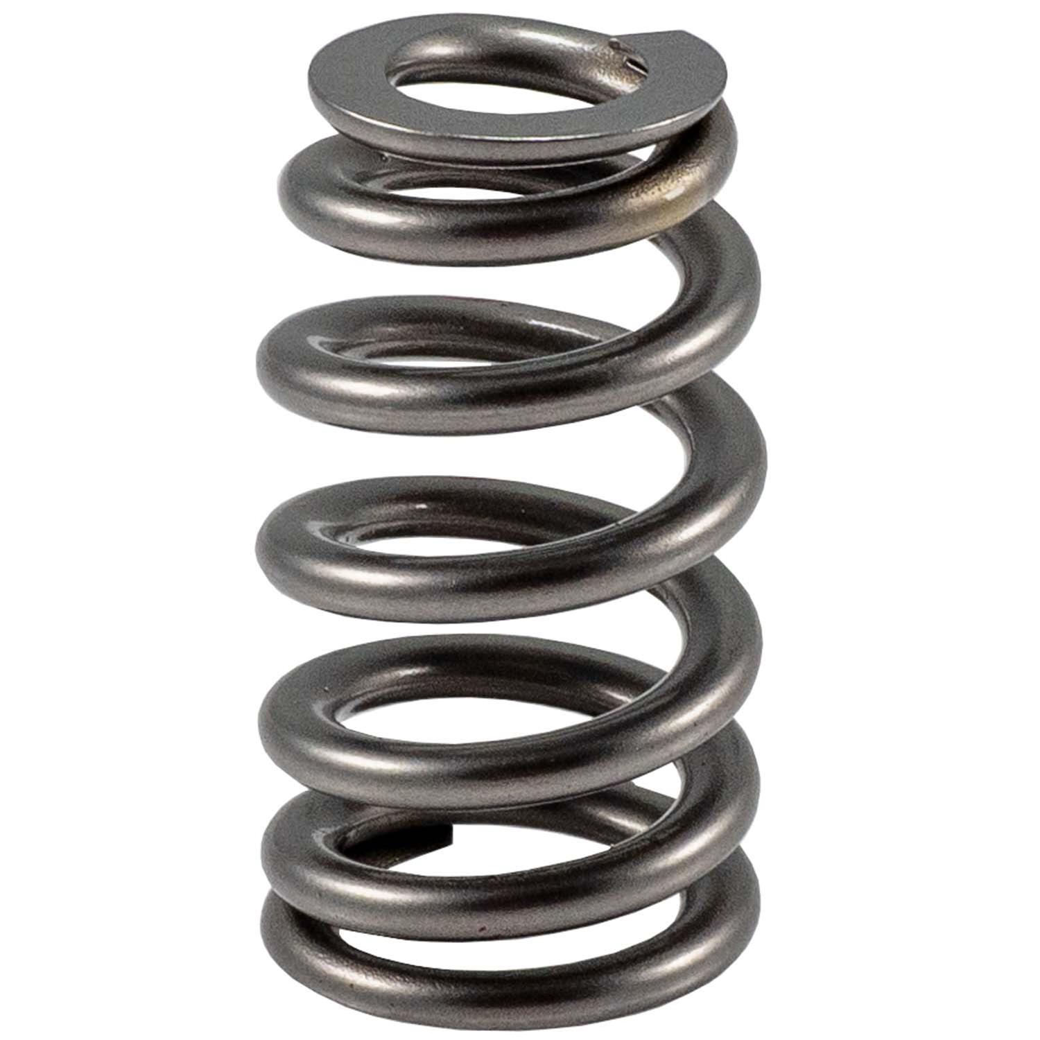 Melling 461219 Melling Valve Springs | Summit Racing
