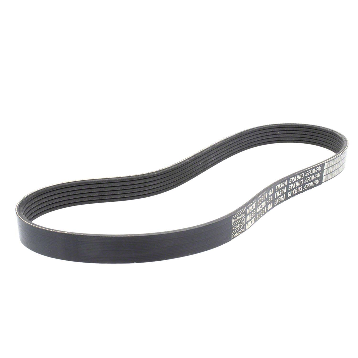 Motorcraft MB3Z8620B Motorcraft Accessory Belts | Summit Racing