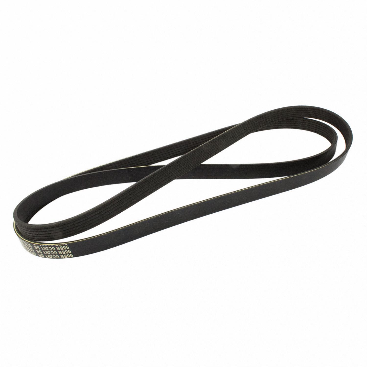 Motorcraft F8RZ8620C Motorcraft Accessory Belts | Summit Racing