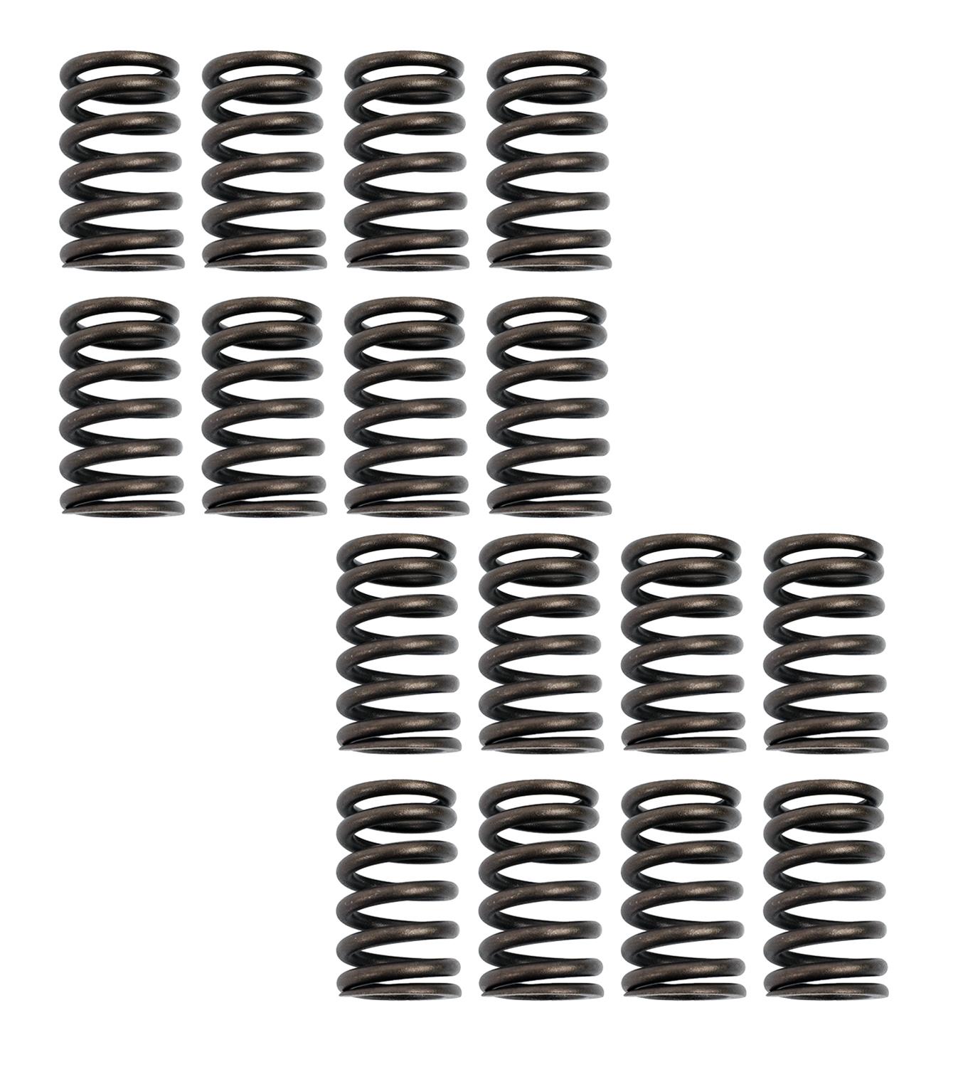 Chevrolet Performance 19154761 Chevrolet Performance Valve Springs ...