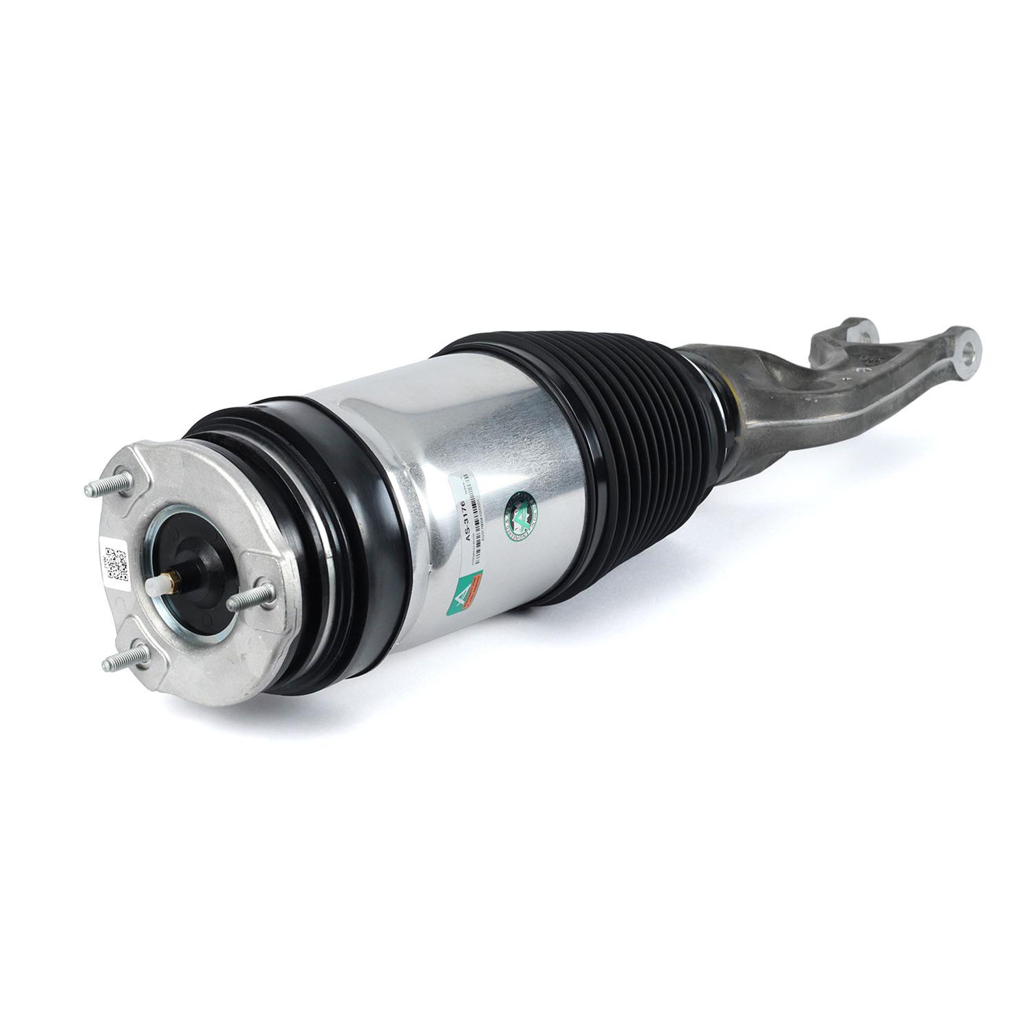 Arnott Air Suspension AS-3176 Arnott New OE Air Shocks and Struts ...