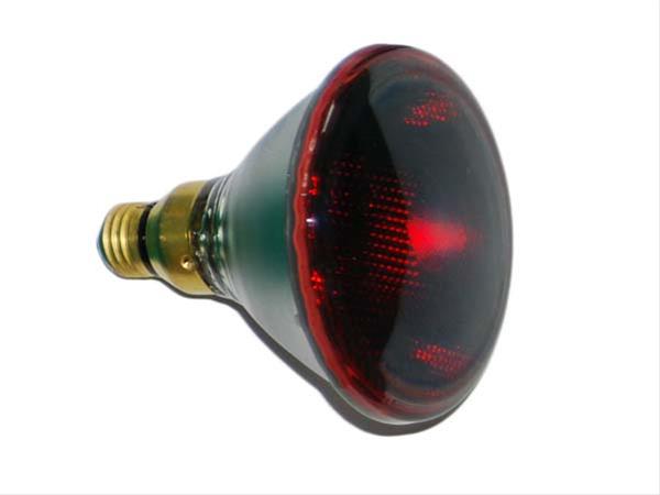 Portatree Timing Systems 1020R Portatree Flood Lamps | Summit Racing