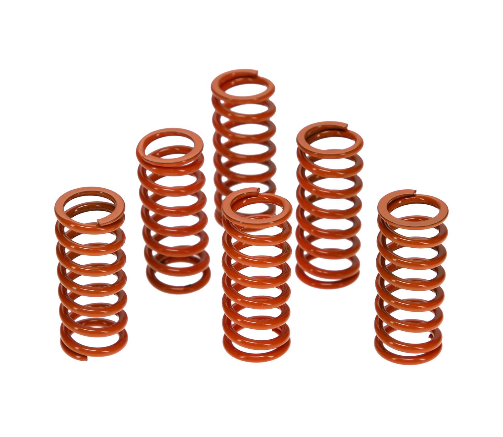 Pro-X Racing Parts 17.CS33026 Pro-X Racing Parts Clutch Spring Kits ...