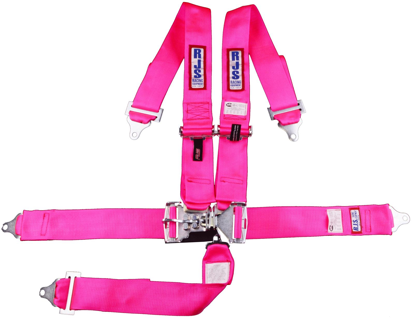 RJS Racing Equipment 1128610 RJS Classic Series Latch and Link ...