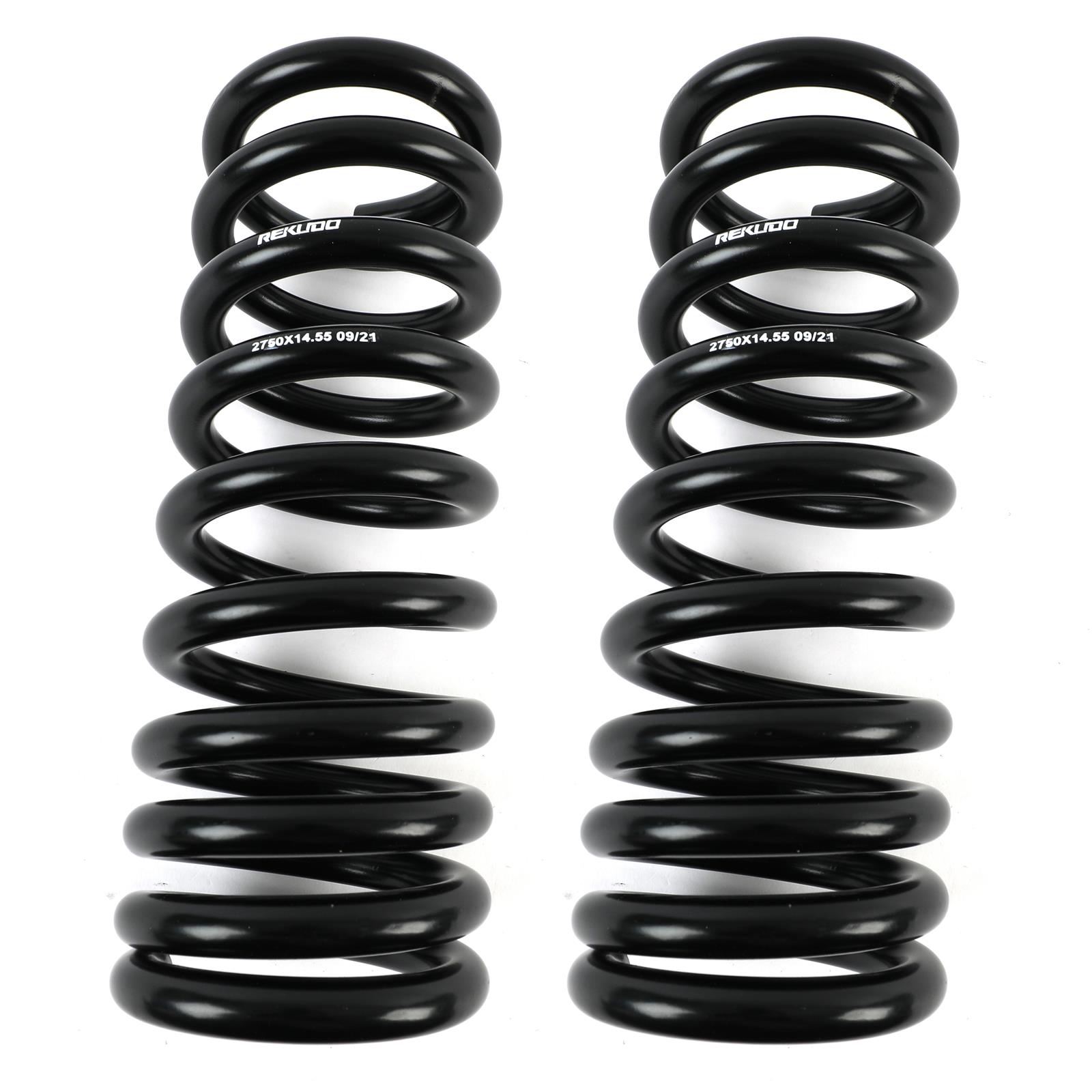 Rekudo RK200-12 REKUDO Lowering Springs | Summit Racing