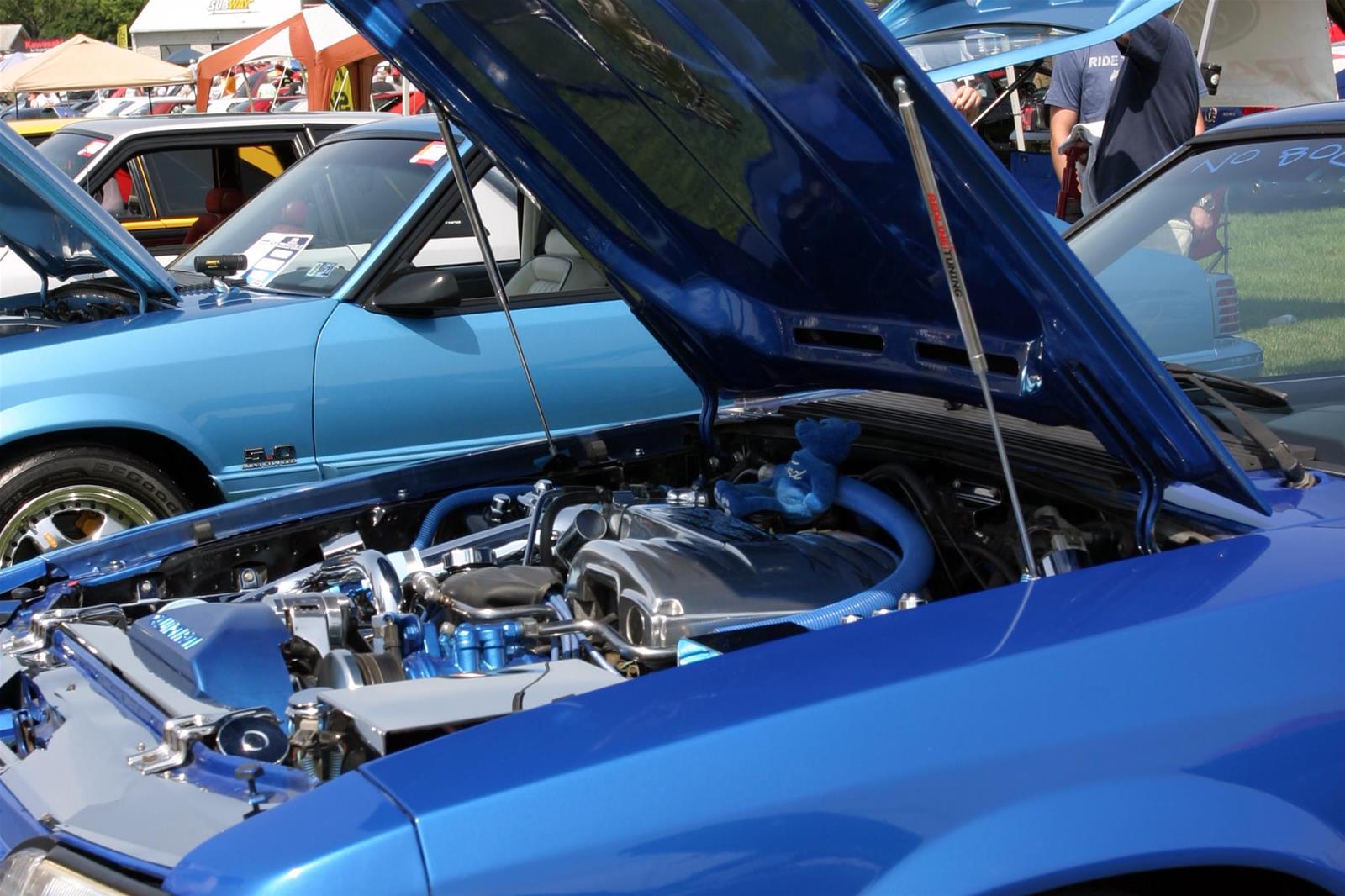 Redline Tuning 21-11012-03 Redline Tuning QuickLIFT Elite Lift Supports ...