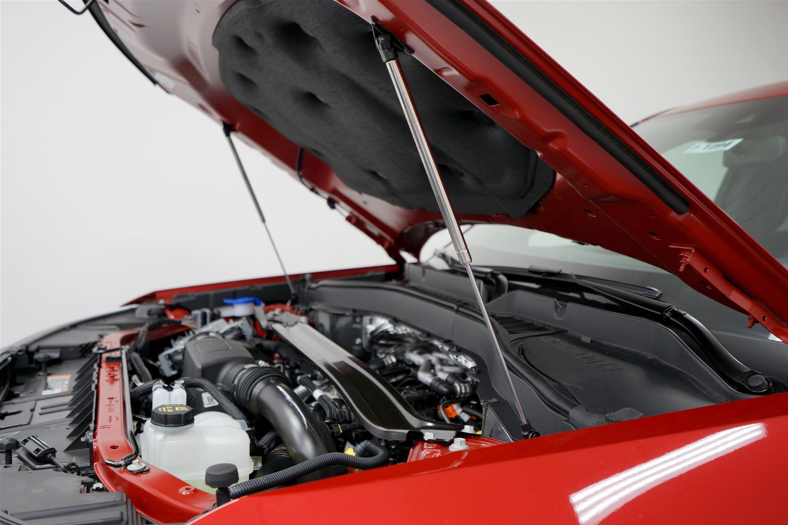 Redline Tuning 21-11036-03 Redline Tuning QuickLIFT Elite Lift Supports ...