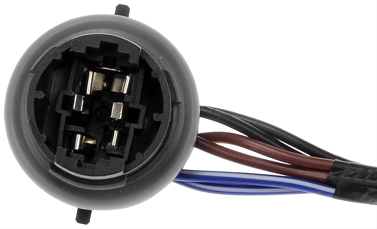 Dorman 645-745 Dorman Light Bulb Sockets | Summit Racing