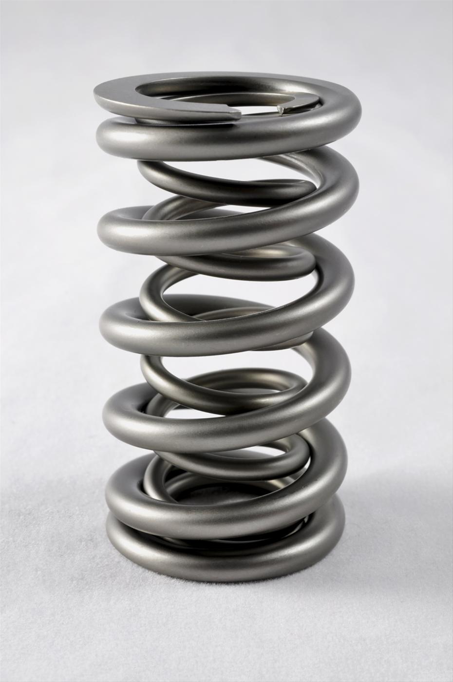 PAC Racing Springs PAC-1222X-16 PAC Racing RPM Series Valve Springs ...